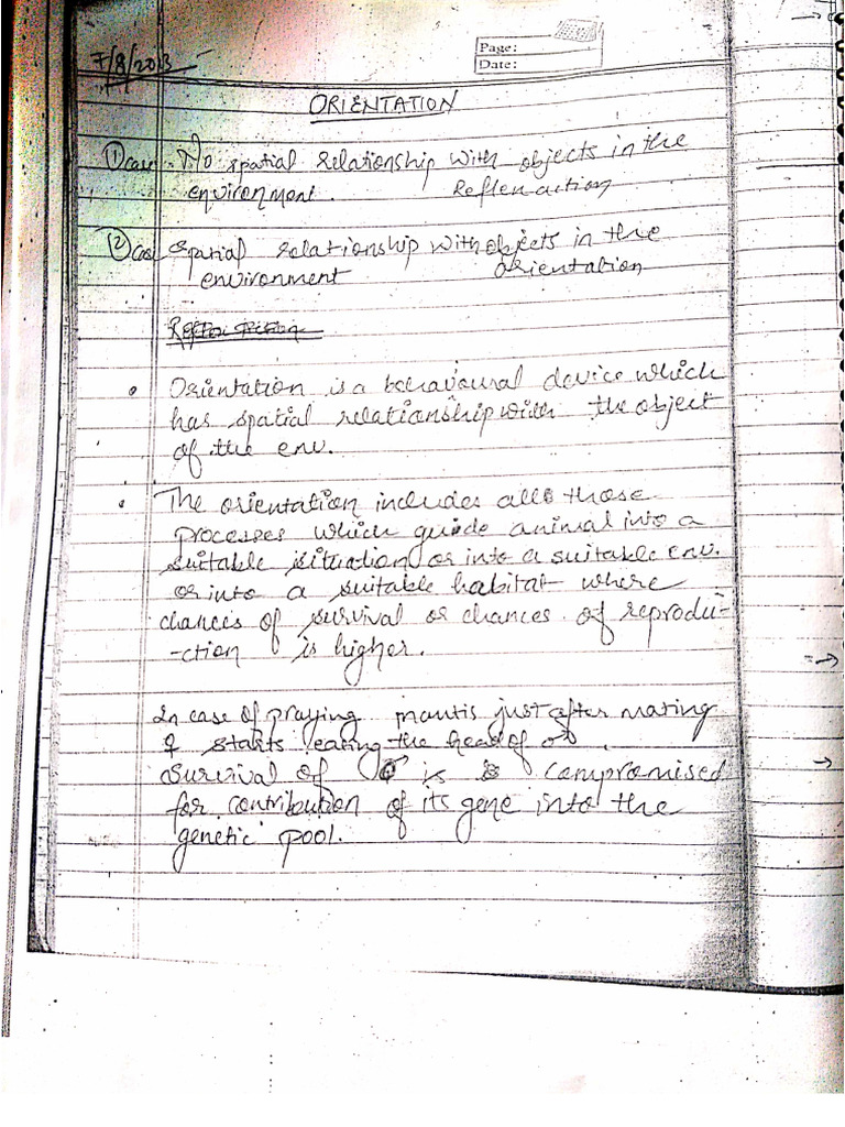 Animal Behaviour Notes 2 | PDF