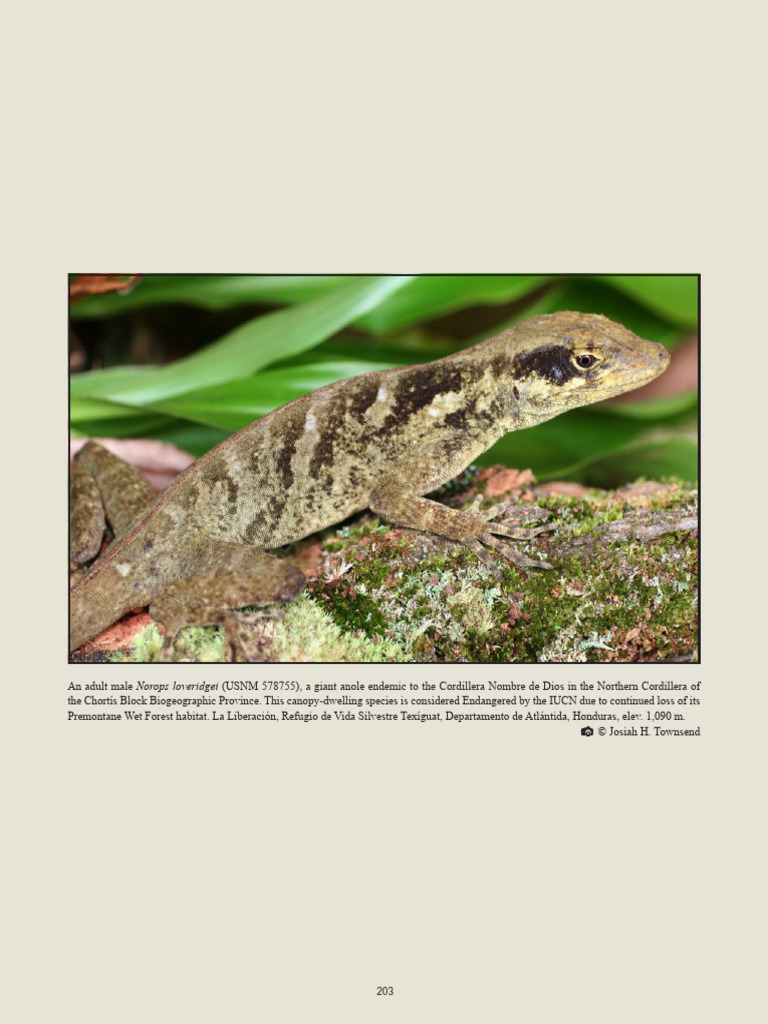 Townsend Paper | PDF | Central America | Volcano