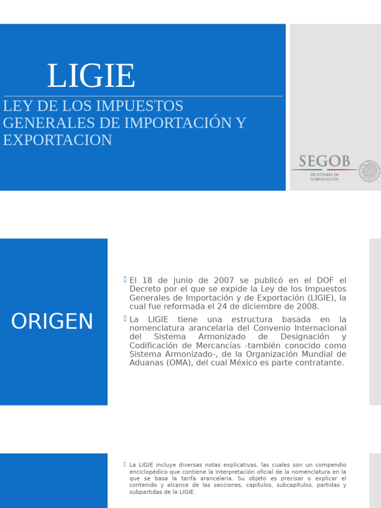 Estructura y Reglas de la LIGIE | PDF | aduana