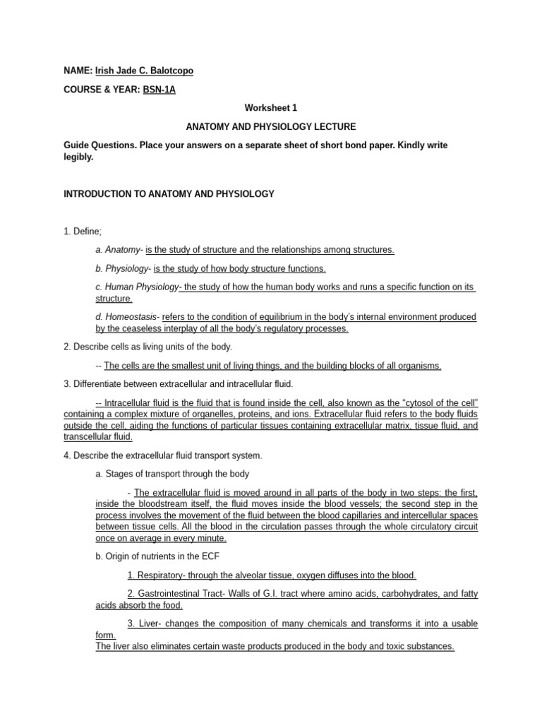 Worksheet 1 - Anaphy Lecture | PDF | Human Body | Gastrointestinal Tract