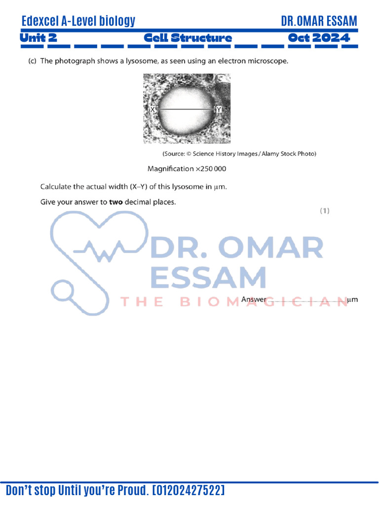 Cell Structure As EDX Classifieds | PDF