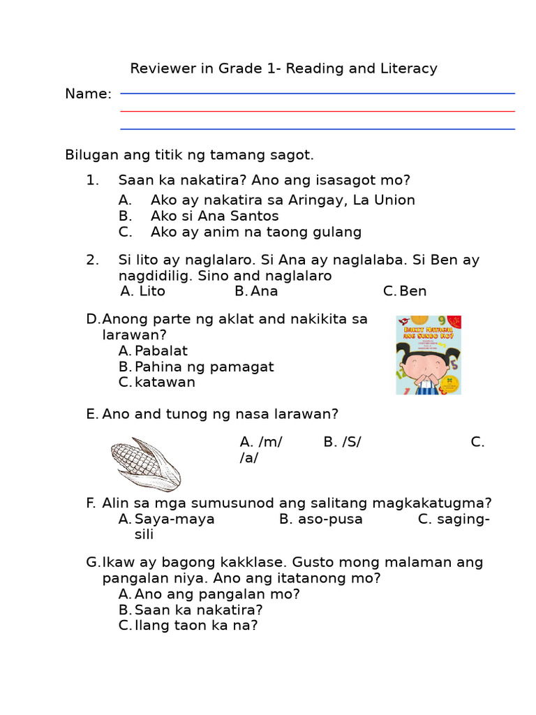 Reviewer - Reading and Literacy | PDF