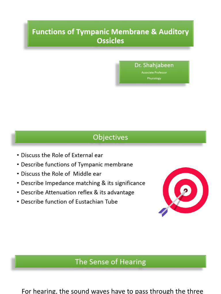 Function of Tympanic membrane Auditory ossicles 2024 | PDF | Ear | Hearing