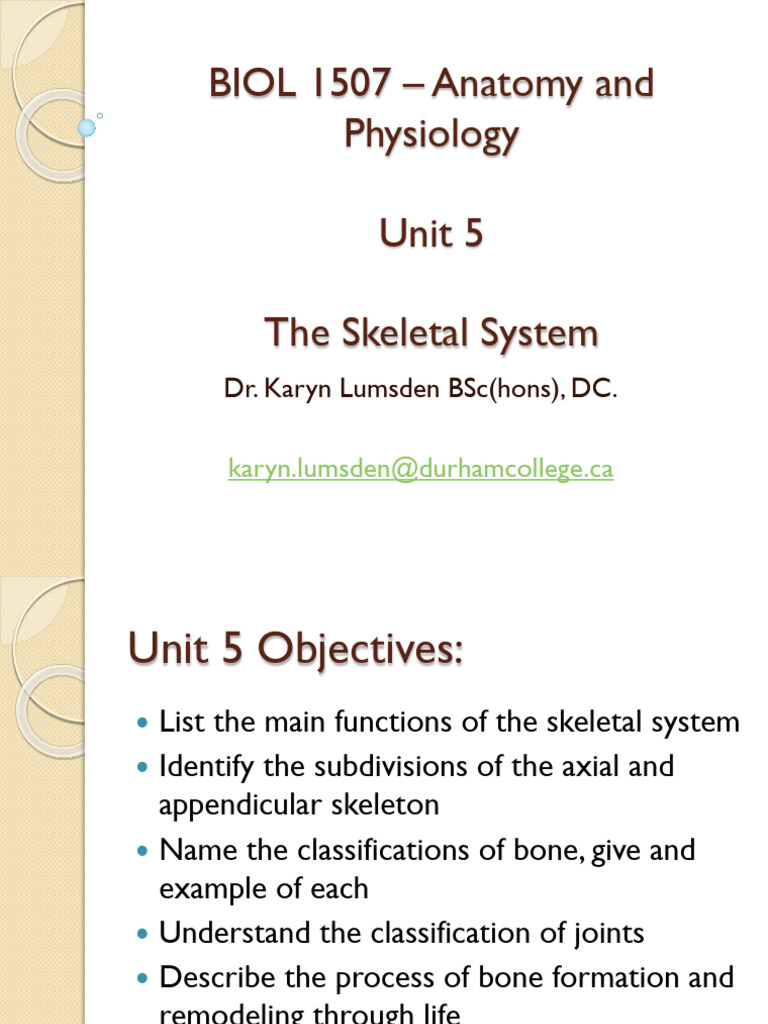 Unit 5 Skeletal Full Notes | PDF | Bone | Cartilage