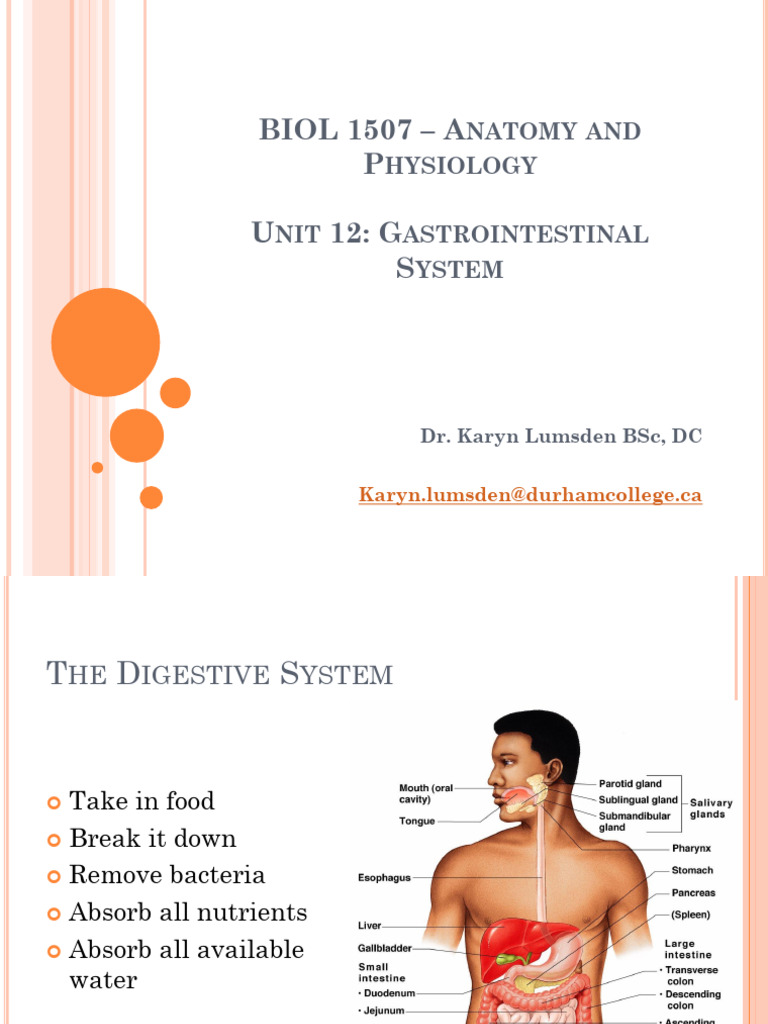 Unit 12 GI System Notes 2022 | PDF | Human Digestive System | Digestion