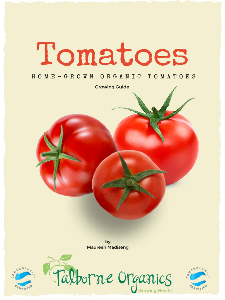 Growing Tomatoes | PDF | Tomato | Mulch