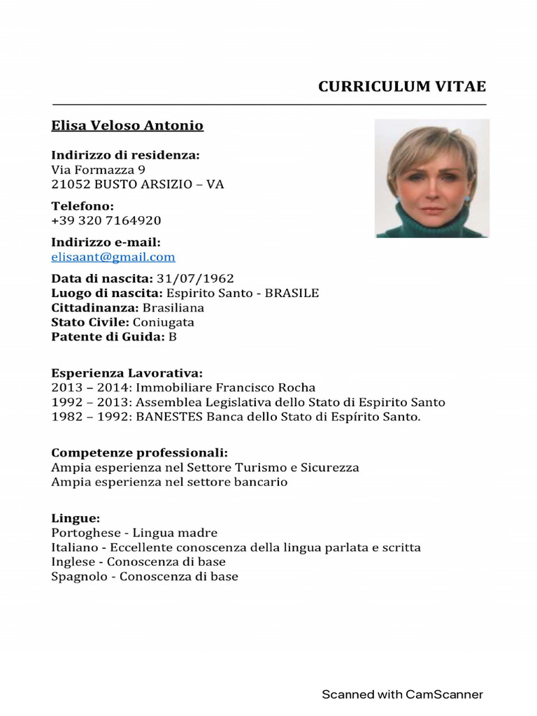 CV - ELI - Curriculum Vitae ELISA VELOSO ANT | PDF