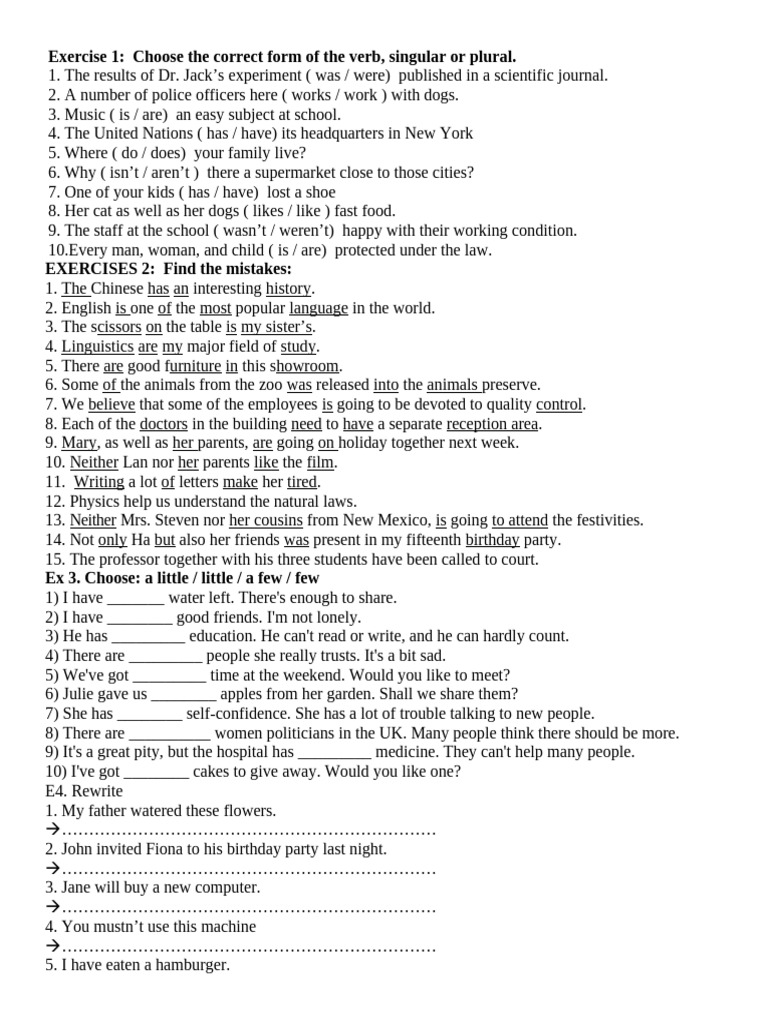 Exercise 1: Choose The Correct Form of The Verb, Singular or Plural | PDF