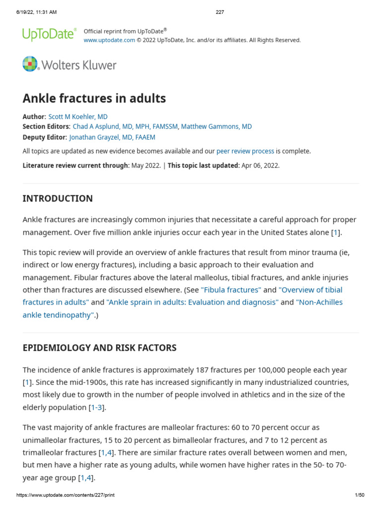 227 | PDF | Ankle | Lower Limb Anatomy