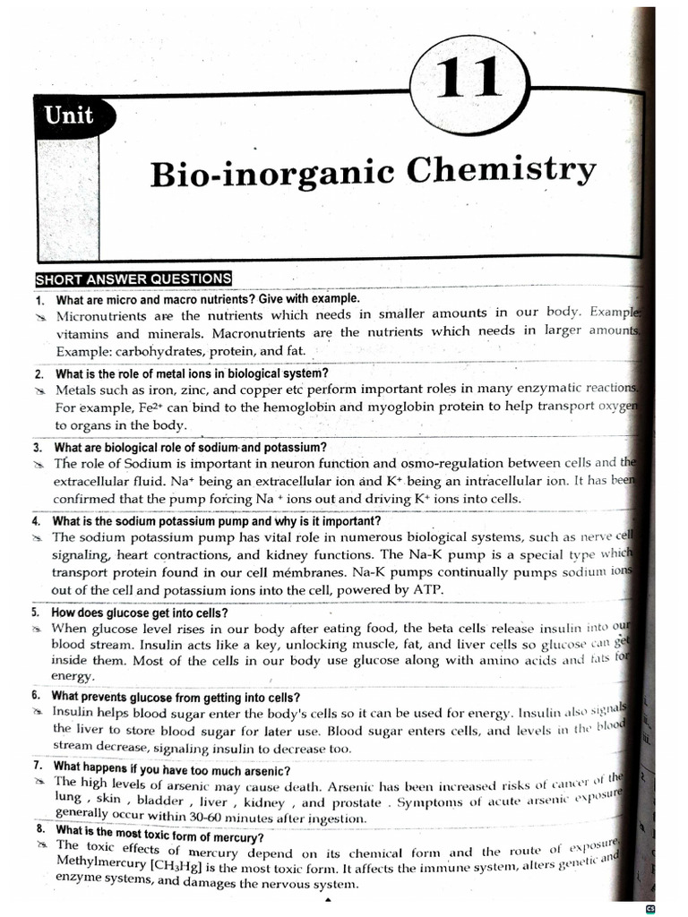 Bio-I Organic Chemistry | PDF
