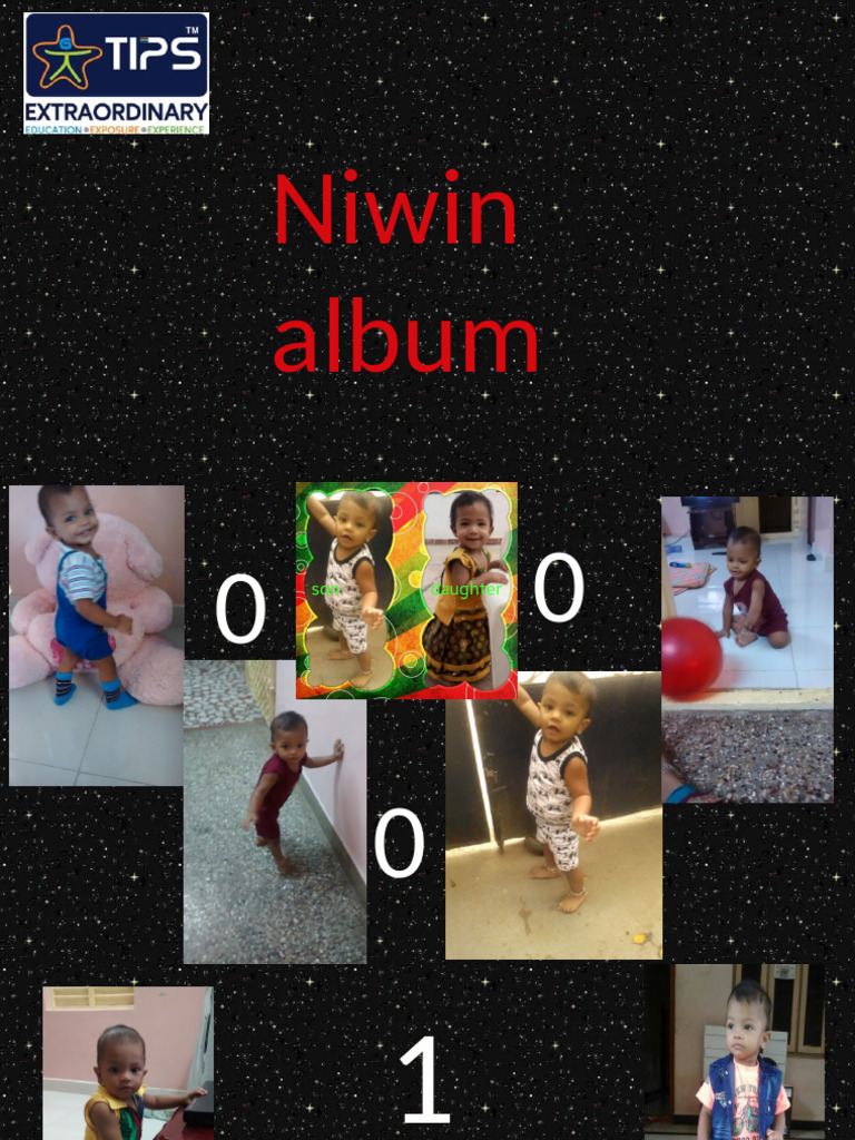 Niwin Album | PDF