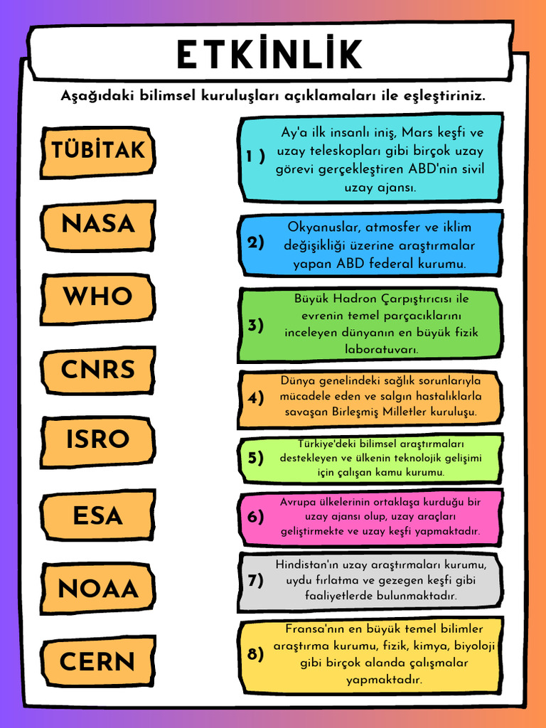 Body Organs Matching Worksheet | PDF