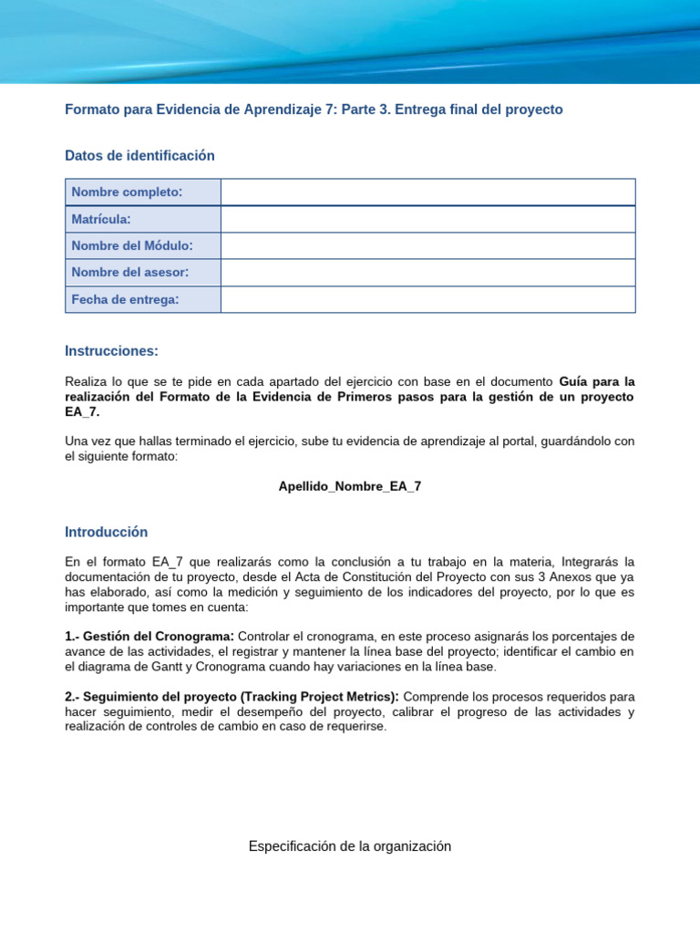 Formato EA_7: Entrega Proyecto Final | PDF | Presupuesto | Software