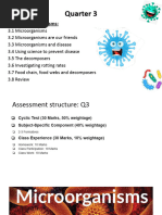 Branching Key Worksheet for Animals | PDF | Invertebrate | Zoology