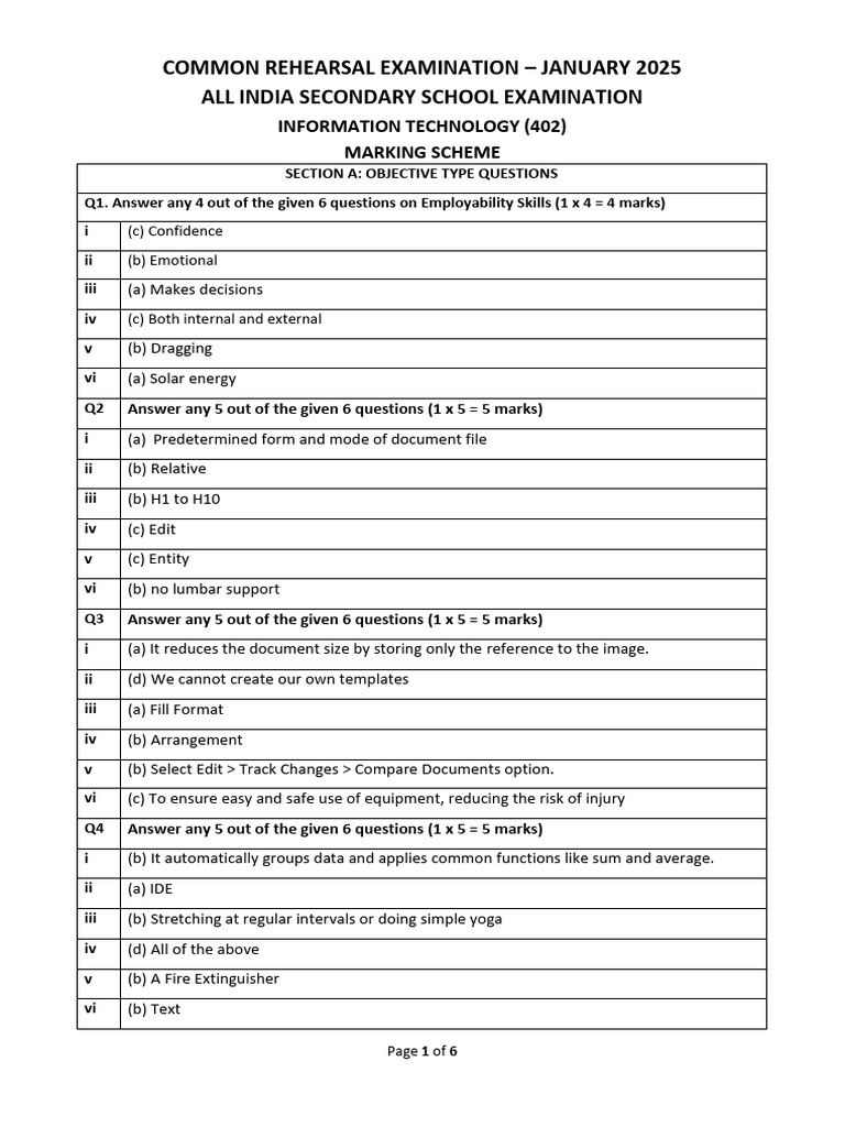CASE Marking Scheme 2024-25 | PDF | Relational Model | Spreadsheet