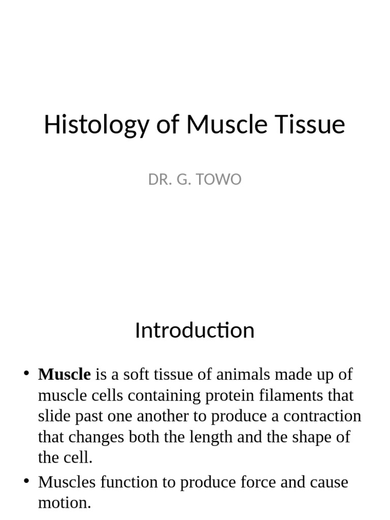 7. MUSCLE Tissue | PDF | Skeletal Muscle | Muscle Contraction