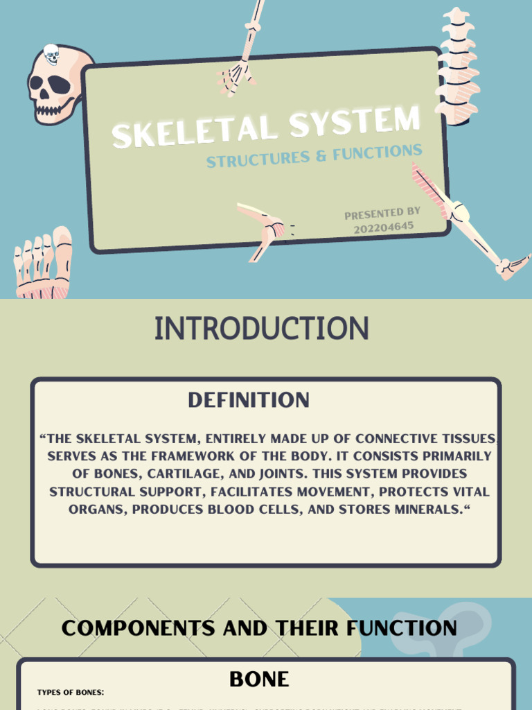 Skeletal System | PDF | Bone | Skeleton