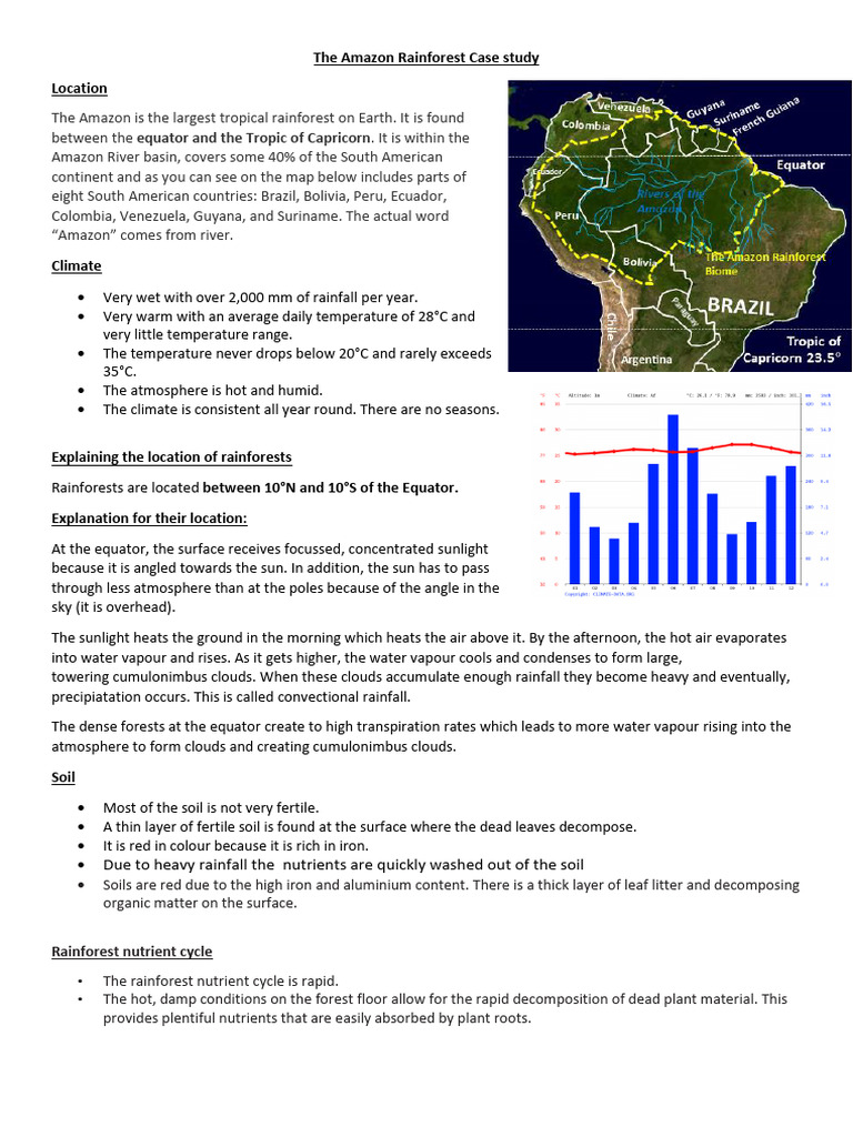 Rainforests Ecosystem Revision Sheet | PDF | Water Vapor | Cloud