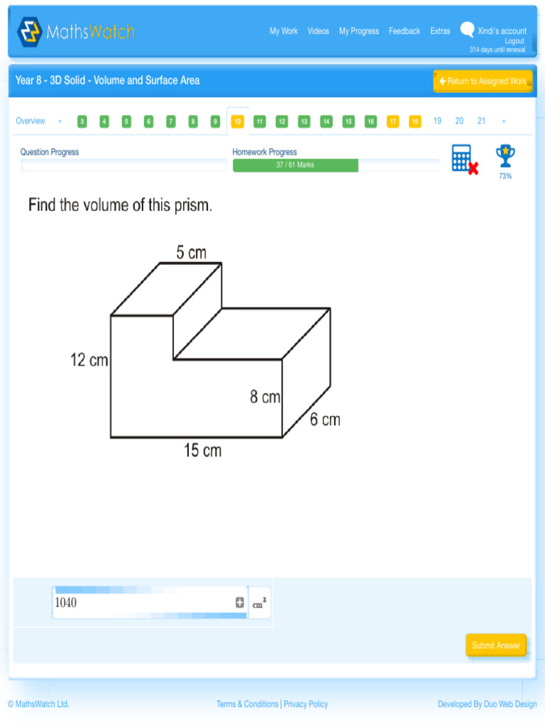Year 8: 3D Volume & Surface Area | PDF
