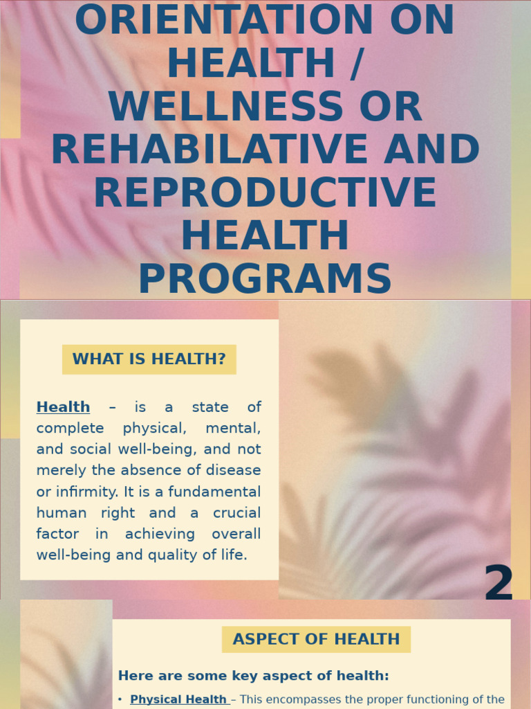 CRIS-PPT-ON-PWD-2024 | PDF | Well Being | Mental Health