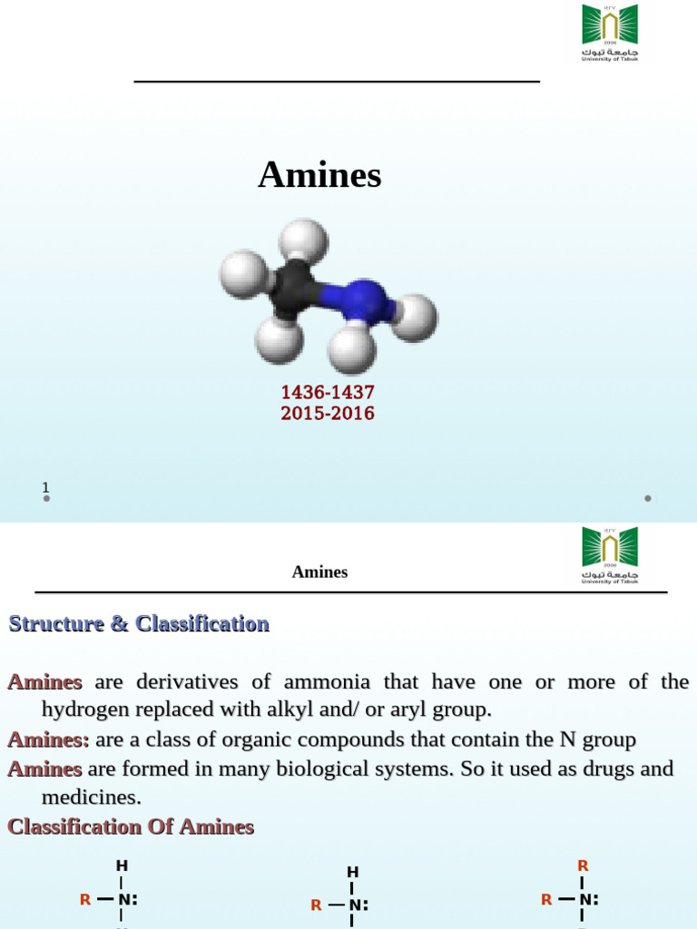Amines 2 | PDF