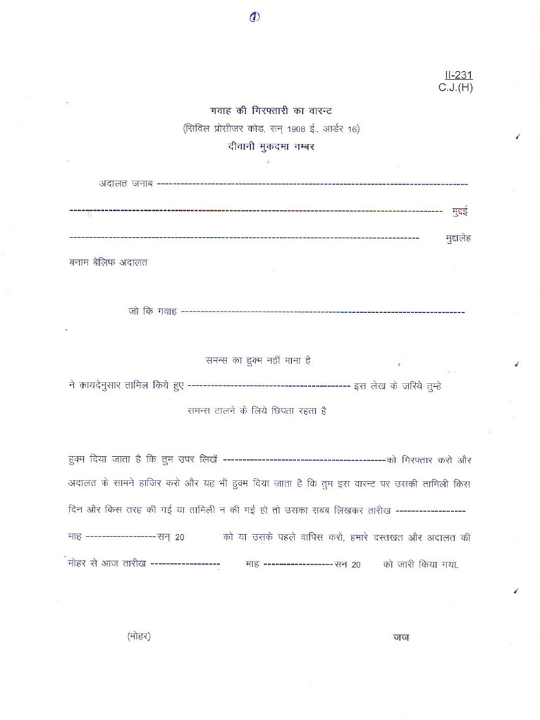 Court Form | PDF