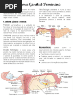 Addaven: Solução de Oligoelementos IV | PDF | Gravidez | Micronutriente