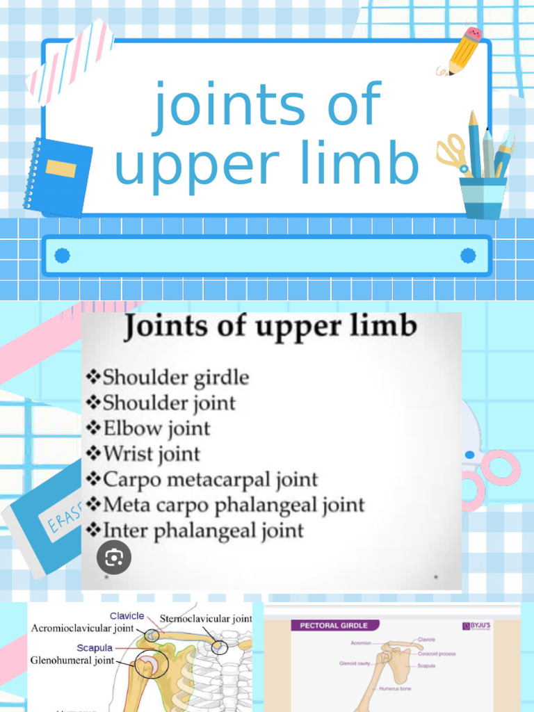 Joints of Upper Limb | PDF