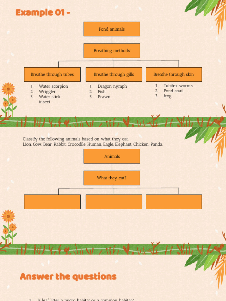 Identification Key - Homework | PDF
