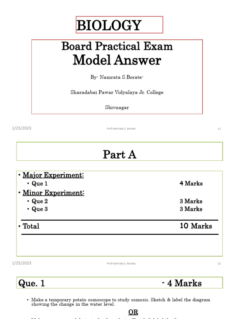 Biology Practical Exam Model Answers | PDF | Meiosis | Botany