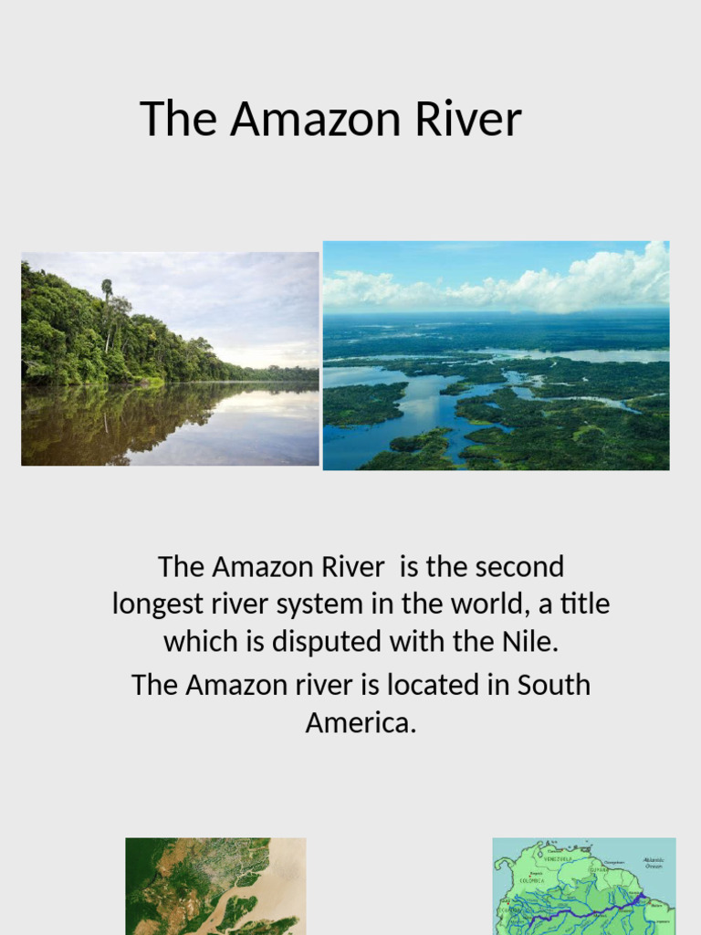 The Amazon River | PDF