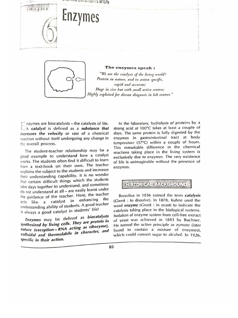 Enzymes (Biochemistry) | PDF
