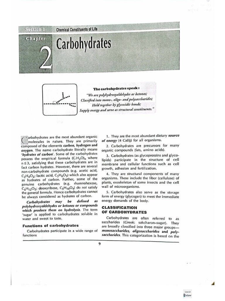 Carbohydrates - Biochemistry | PDF