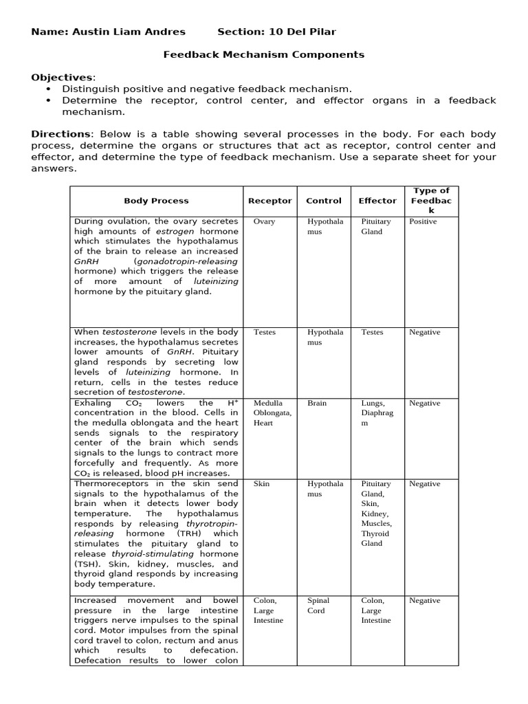 Feedback Mechanisms in Human Physiology | PDF | Central Nervous System ...