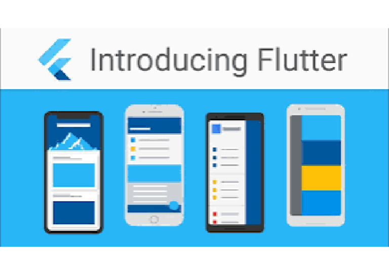Flutter Images | PDF