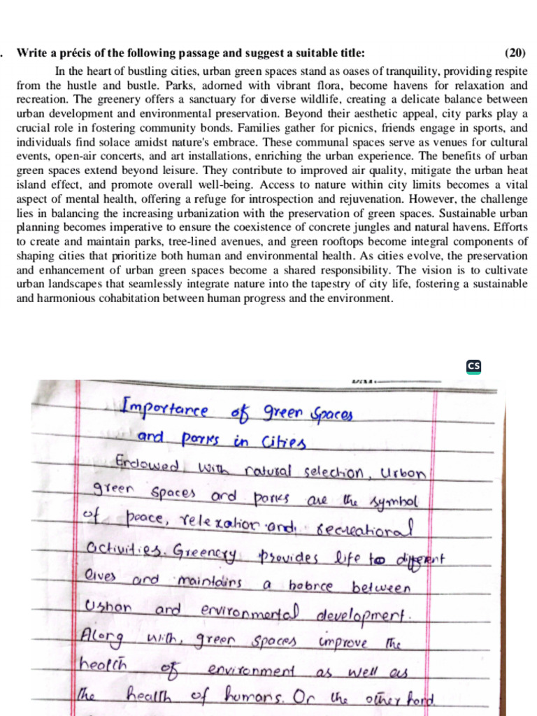 Precis Solved Css of 2024 | PDF