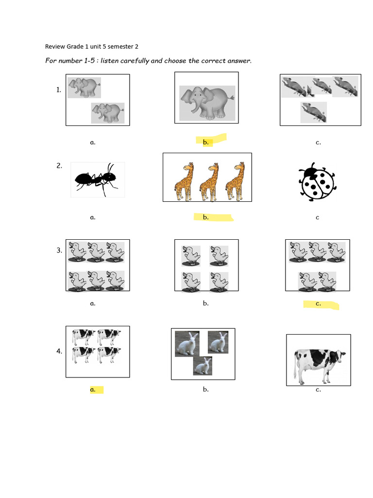 Grade 1 Unit 5 Review Questions | PDF | Zoology | Animals And Humans