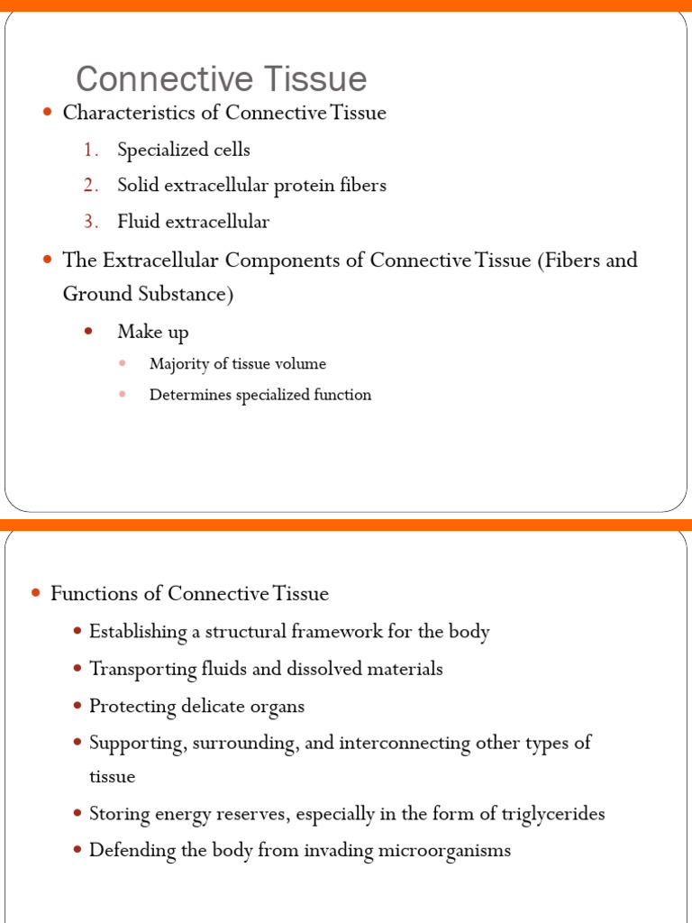 Overview of Connective Tissue Types | PDF | Connective Tissue | Macrophage