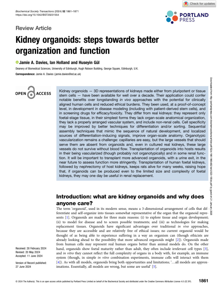kidney organoids | PDF | Kidney | Life Sciences