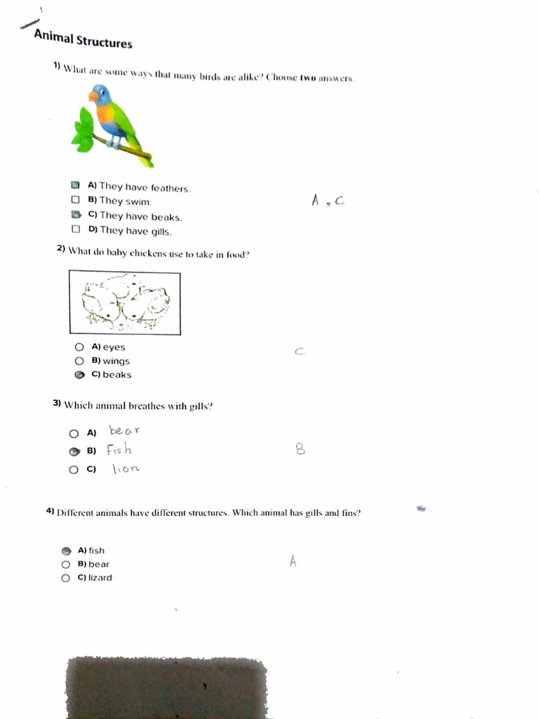 Unit 2 Science Test Questions With Answer Keys | PDF