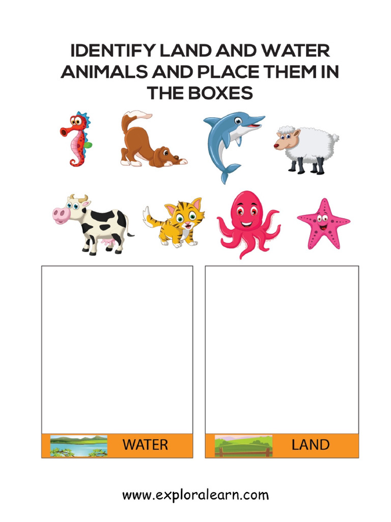 Animal Homes 1 | PDF