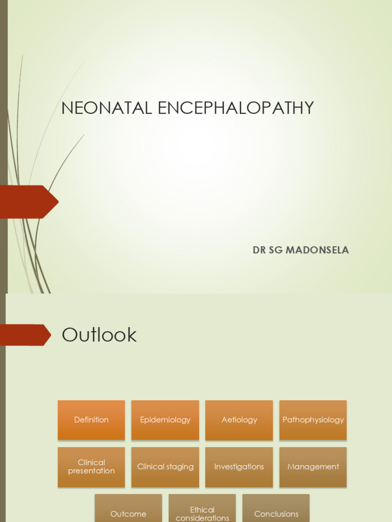 Understanding Neonatal Encephalopathy | PDF | Cerebral Cortex | Thrombosis