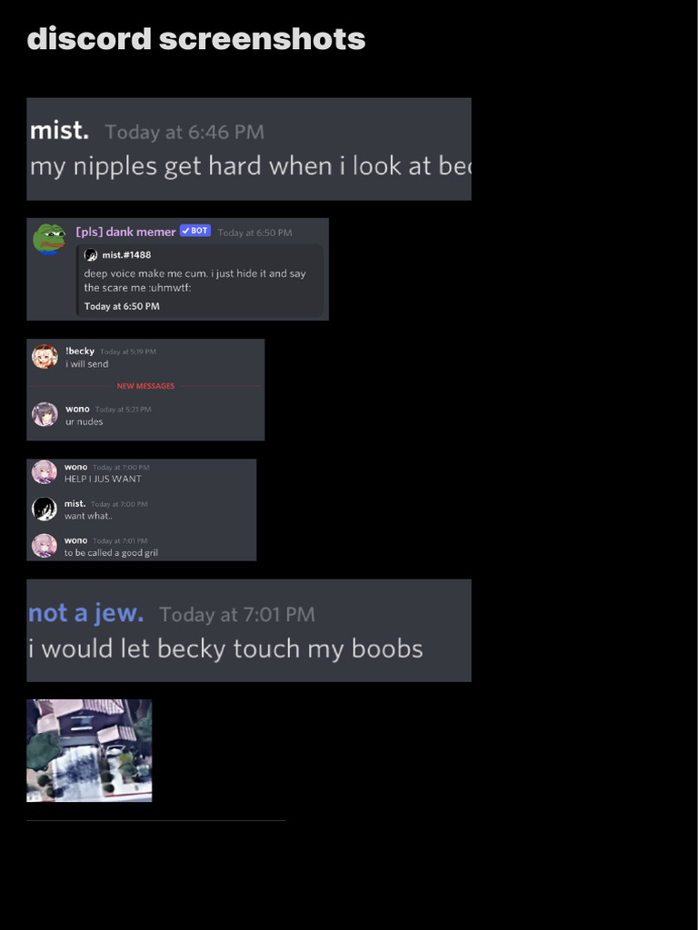 Discord Screenshot Guide | PDF