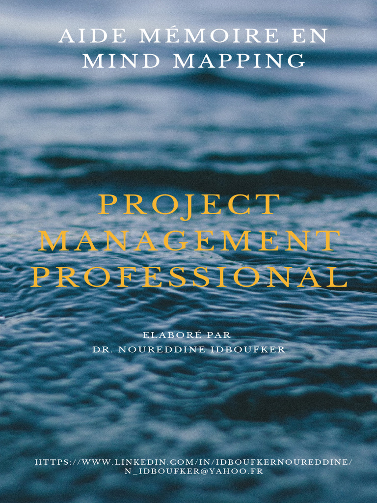 Synthèse ITTO PMP | PDF