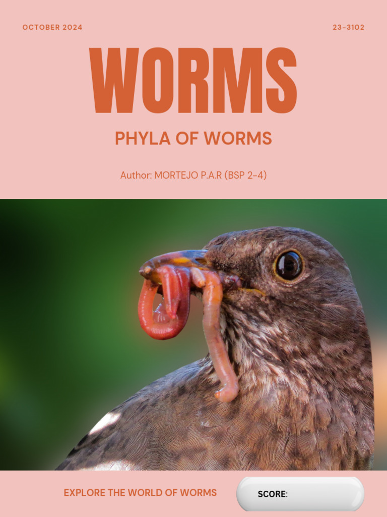 Mortejo, Princess Angel Rose S. (Magazine) (LAPTOP-45FK7A28's Conflicted Copy 2025-01-11) | PDF ...