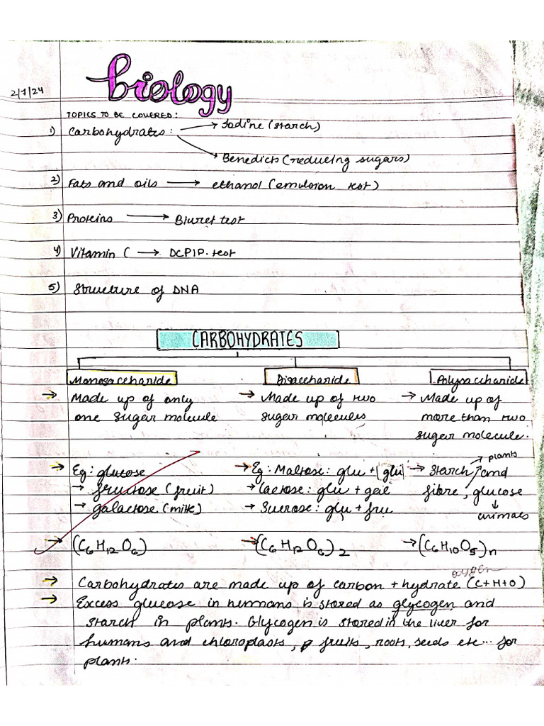 Biology Igcse Notes | PDF