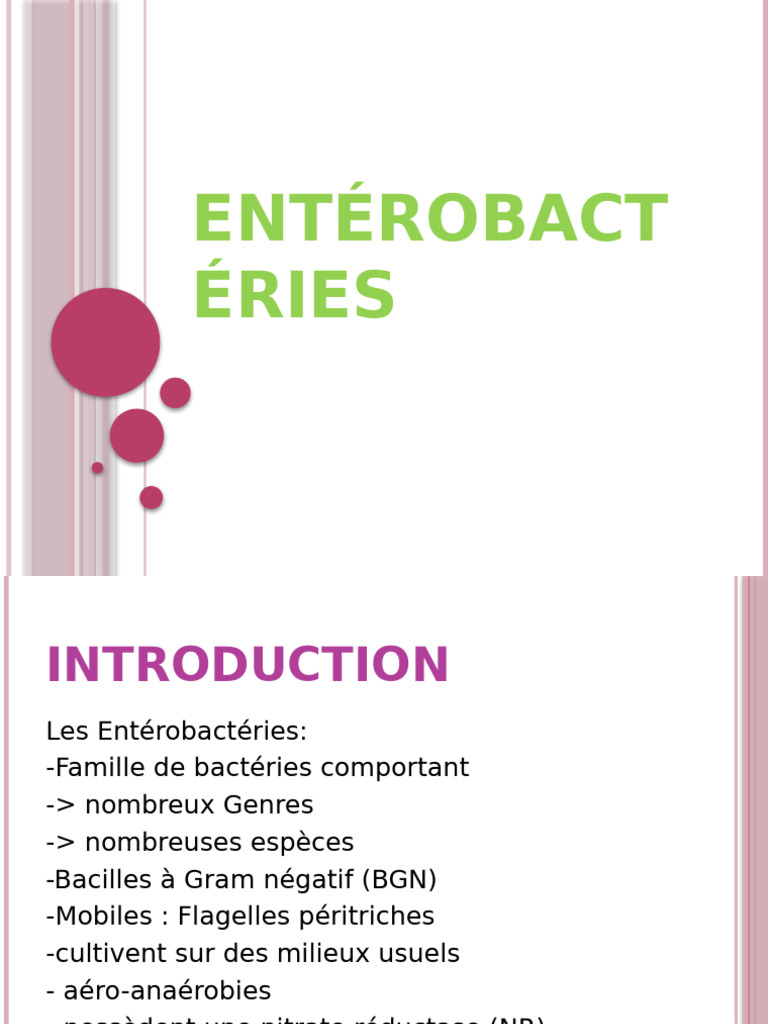 Entérobactéries | PDF | Salmonelle | Escherichia coli