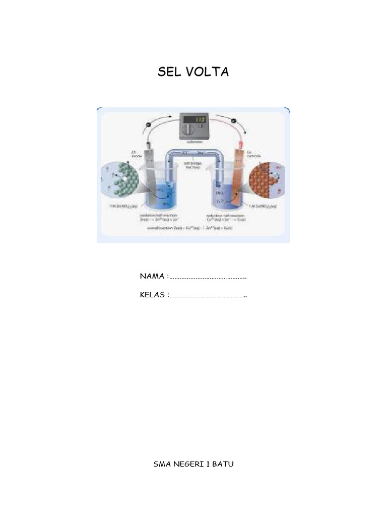 LKPD Sel Volta | PDF
