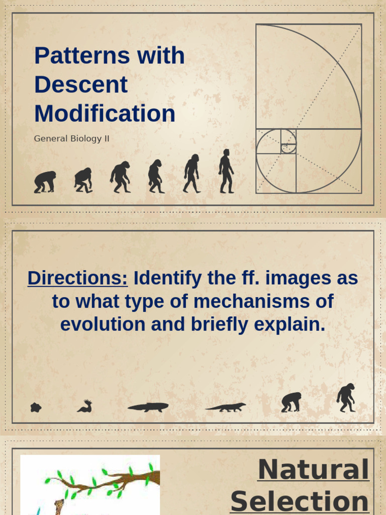 Lesson 4 Patterns With Descent Modifications | PDF | Hybrid (Biology) | Species
