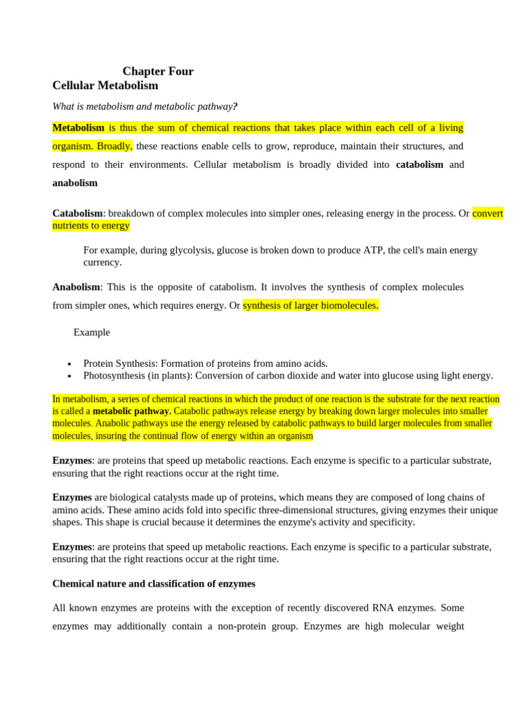 Chapter Four Cellular Respiration | PDF | Enzyme | Metabolism